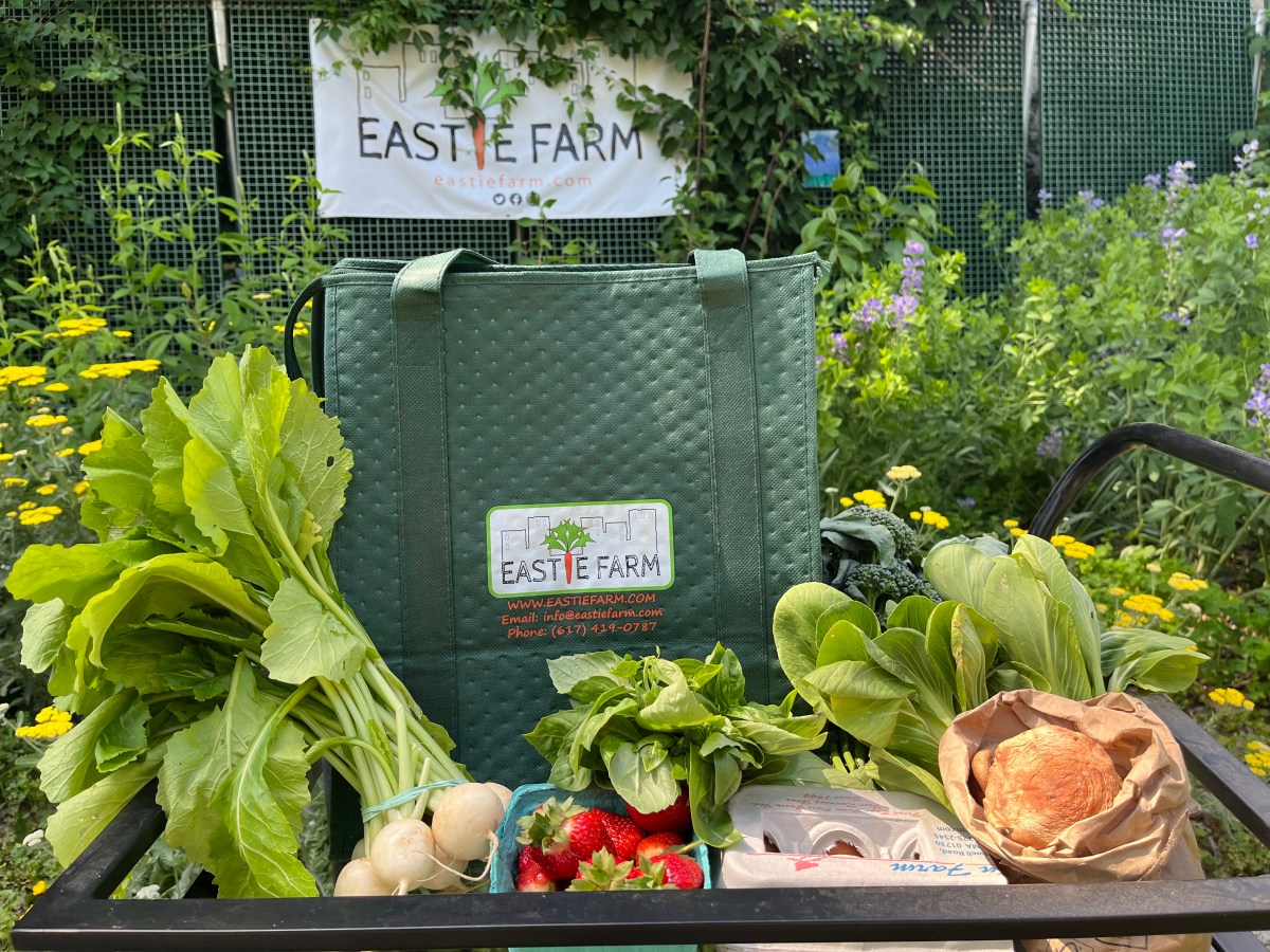 Eastie Farm CSA – Eastie Farm