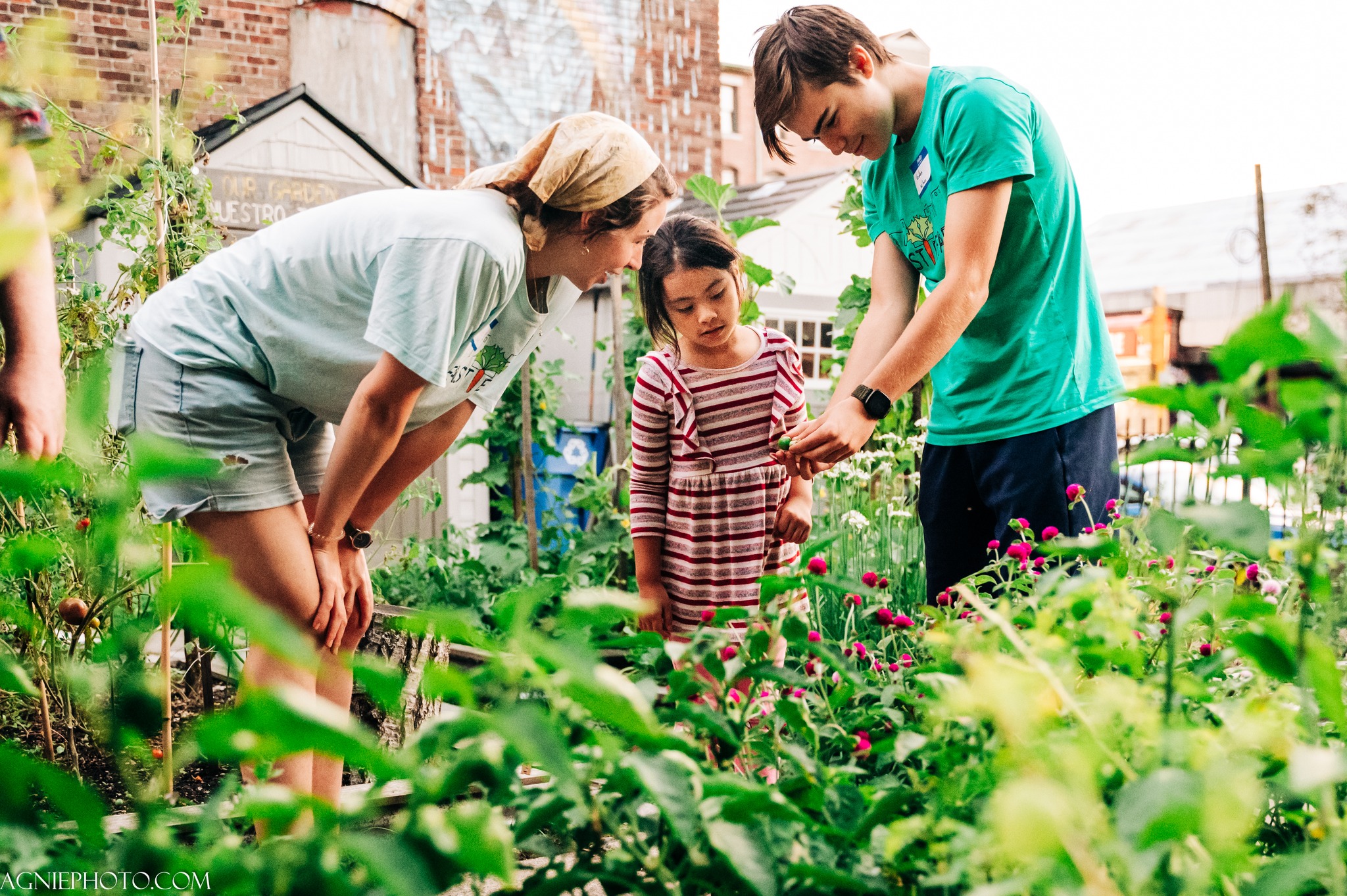 Join the Eastie Farm family! - Eastie Farm